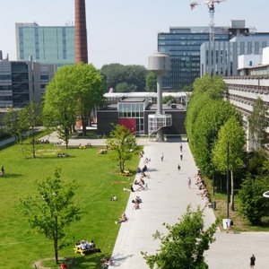 10 Dimensions of CBL