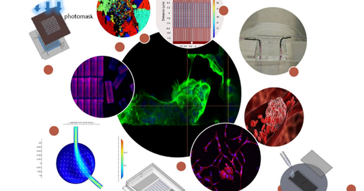 Lab on a Chip Microdevices
